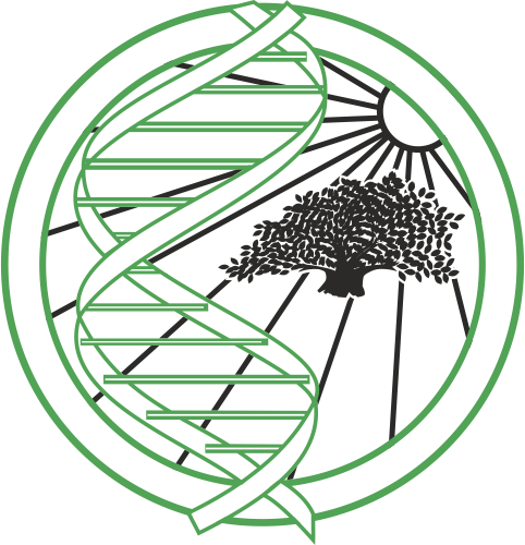 WBiB – Dział Marketingu – serwis medialny